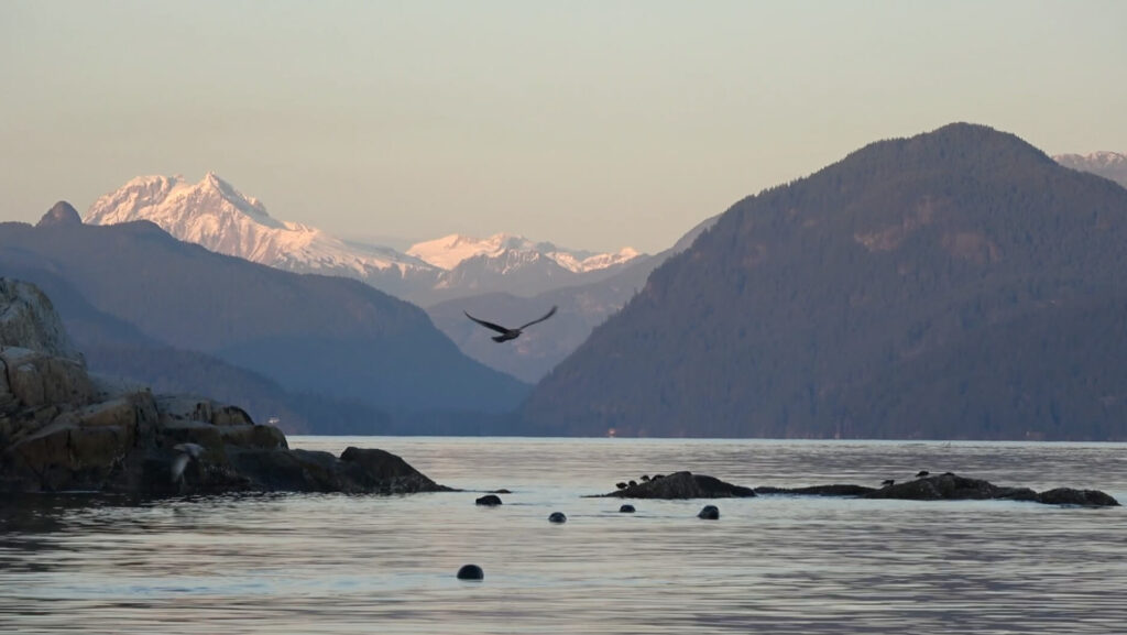 What is the Salish Sea? - Our Salish Sea
